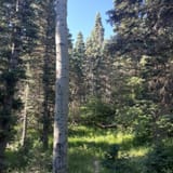 Crystal Springs Loop, Utah - 126 Reviews, Map | AllTrails