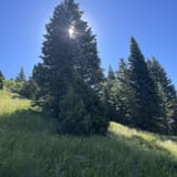 Crystal Springs Loop, Utah - 126 Reviews, Map | AllTrails