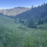 Crystal Springs Loop, Utah - 107 Reviews, Map | AllTrails