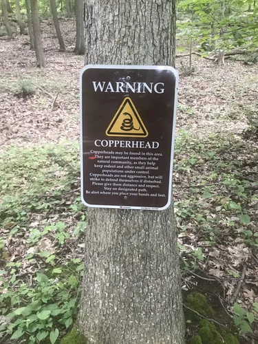 Best Hikes and Trails in Ringing Rocks County Park | AllTrails