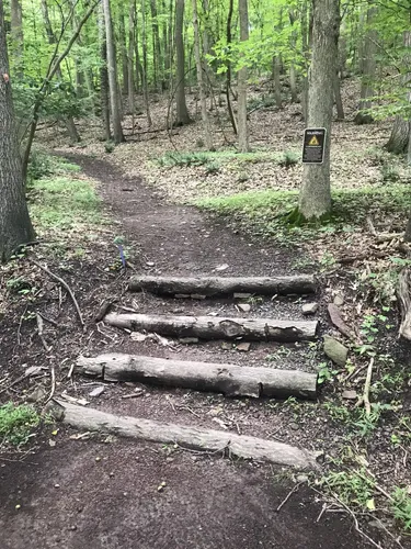 Best Hikes and Trails in Ringing Rocks County Park | AllTrails