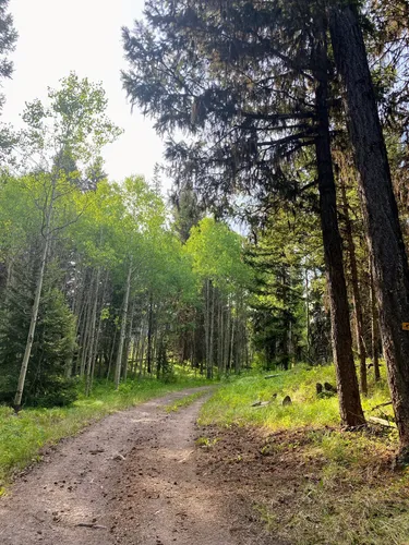 Best River Trails in Thompson-Nicola Regional | AllTrails