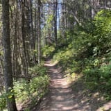 Stanton Lake, Montana - 887 Reviews, Map | AllTrails