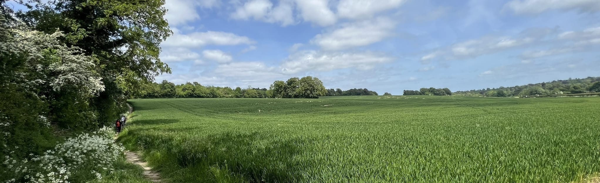 High Elms County Park Circular, London, England - 99 Reviews, Map ...