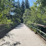 Lacamas Lake Heritage Trail, Washington - 749 Reviews, Map | AllTrails