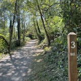 Lacamas Lake Heritage Trail, Washington - 749 Reviews, Map | AllTrails