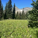 Piegan Pass Trail, Montana - 150 Reviews, Map | AllTrails