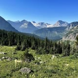 Piegan Pass Trail, Montana - 150 Reviews, Map | AllTrails