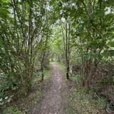 Am Meall (Glencoe Mast Viewpoint), Highlands, Scotland - 129 Reviews ...