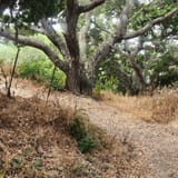 Ontario Ridge Trail via Sycamore Springs, California - 445 Reviews, Map ...