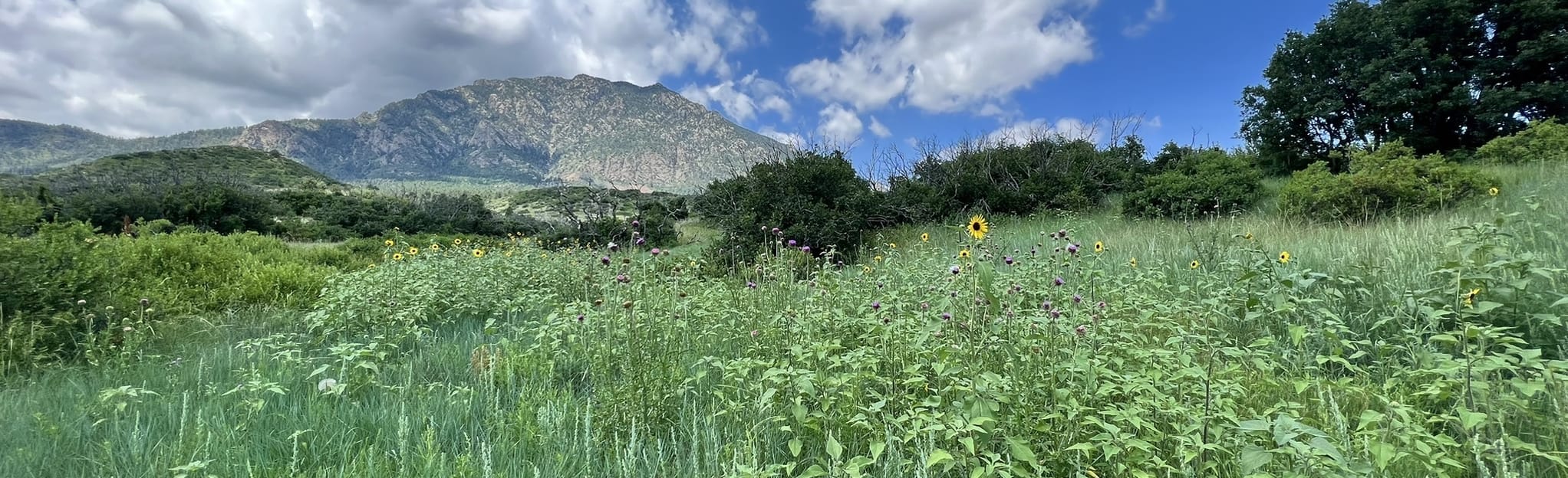 Cheyenne Mountain via Talon and Dixon Trail, Colorado - 734 Reviews ...