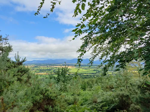 2023 Best Forest Trails in Kilcommon | AllTrails