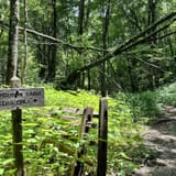 Hemphill Bald via Cataloochee Divide Trail, North Carolina - 356 ...