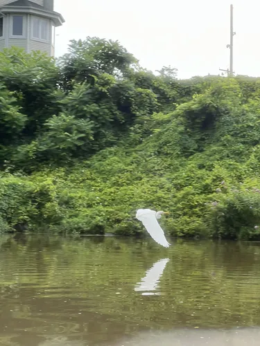 2023 Best River Trails in Delson | AllTrails