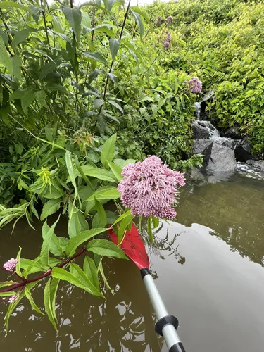 2023 Best River Trails in Delson | AllTrails