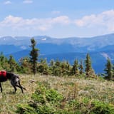 Wheeler Pass Trail, Colorado - 92 Reviews, Map | AllTrails