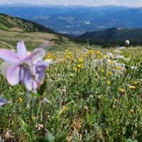 Wheeler Pass Trail, Colorado - 92 Reviews, Map | AllTrails