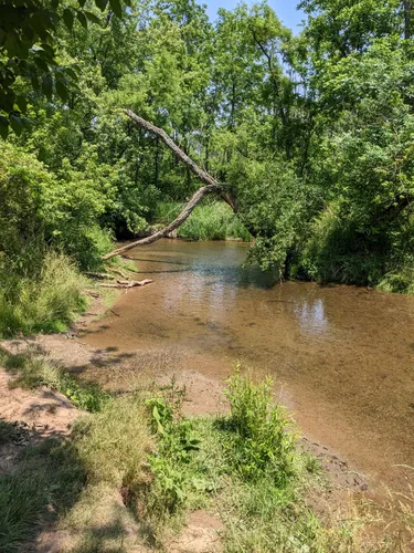 Best Hikes and Trails in Speedwell Forge County Park | AllTrails