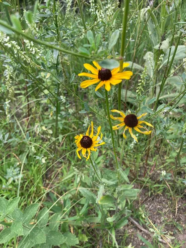 Best Hikes and Trails in Summit Lake State Recreation Area | AllTrails