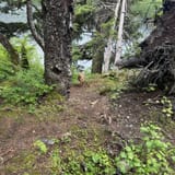 Grayling Lake Trail, Alaska - 108 Reviews, Map | AllTrails