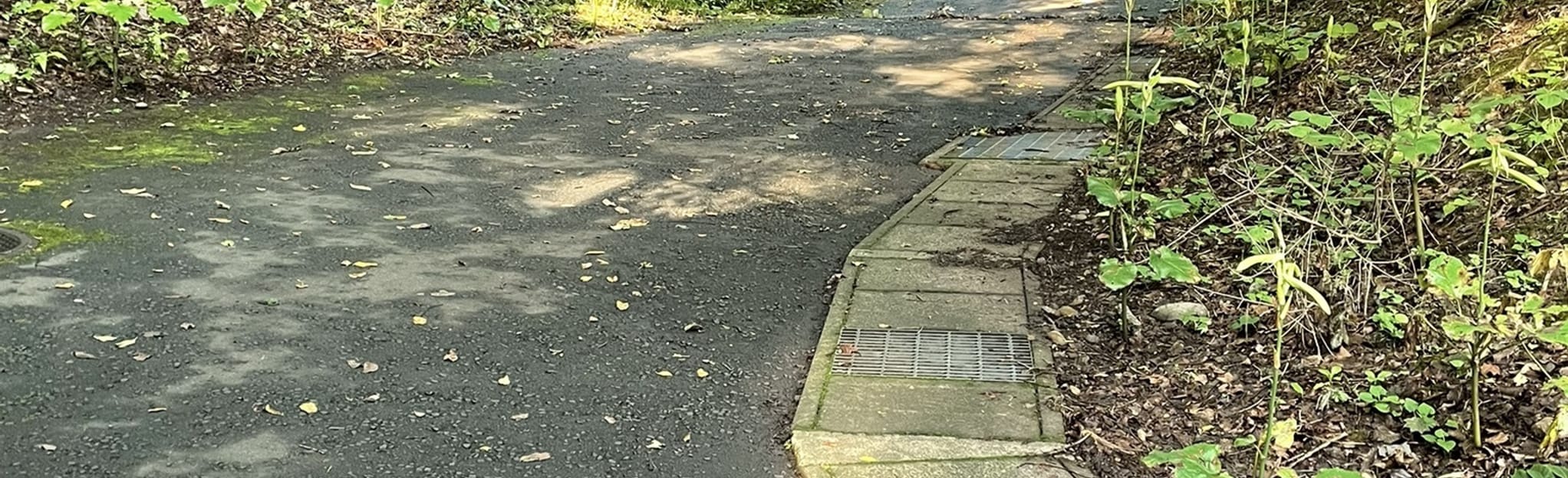 Sendai Castle: 3 Reviews, Map - Miyagi, Japan | AllTrails