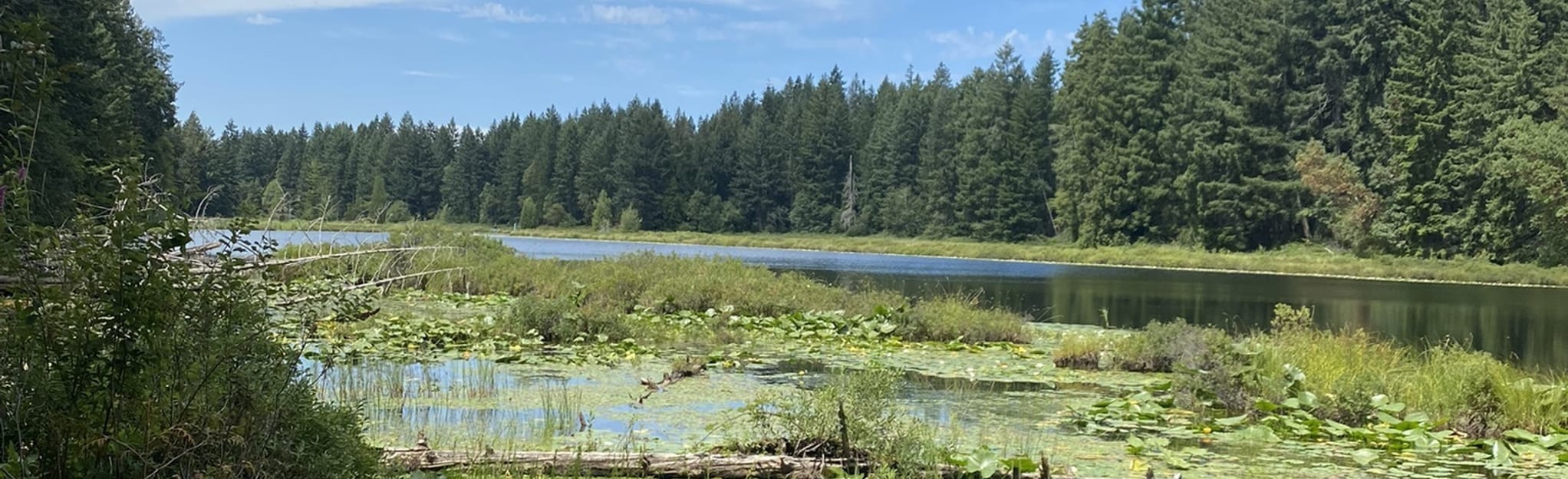 Yellow Point Bog Ecological Reserve and Yellow Point Park Loop, British ...