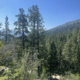 Blodgett Canyon Overlook Trail, Montana - 836 Reviews, Map | AllTrails