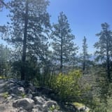 Blodgett Canyon Overlook Trail, Montana - 836 Reviews, Map | AllTrails
