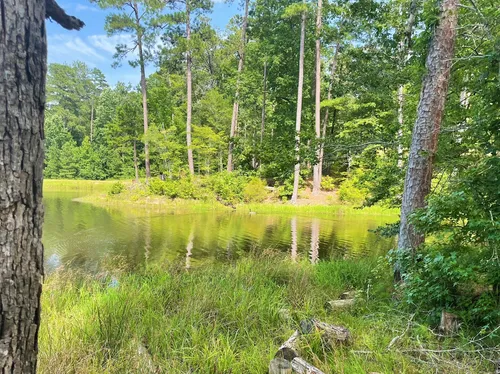 Best Hikes and Trails in A.H. Stephens State Park | AllTrails