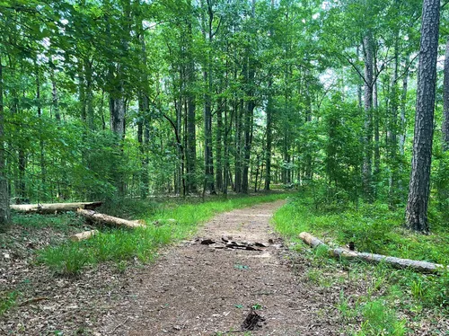 Best Hikes and Trails in A.H. Stephens State Park | AllTrails