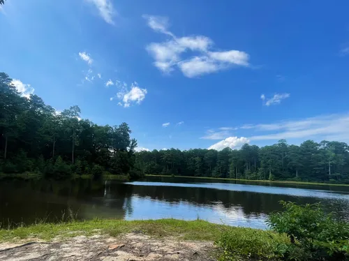 Best Hikes and Trails in A.H. Stephens State Park | AllTrails