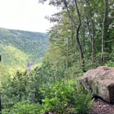 Canyon Vista Trail, Pennsylvania - 761 Reviews, Map | AllTrails