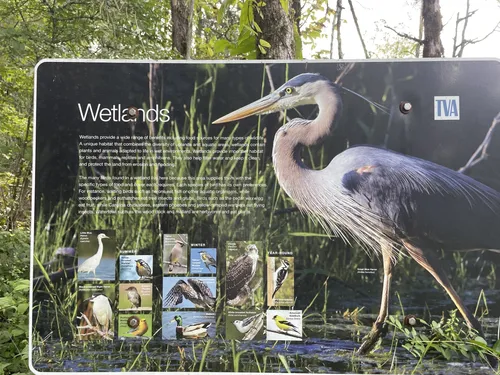 Best Hikes and Trails in Elza Gate Park | AllTrails