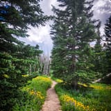 Alpine Pond North Loop, Utah - 224 Reviews, Map | AllTrails