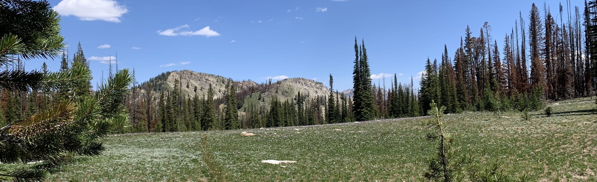 Alturas Lake, Mattingly Creek to Power Plant Campground, Idaho - 12 ...