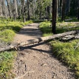 Morrell Falls National Recreation Trail, Montana - 507 Reviews, Map ...