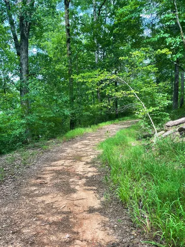 Best Hikes and Trails in A.H. Stephens State Park | AllTrails