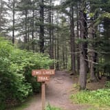 Two Lakes Trail, Alaska - 380 Reviews, Map | AllTrails
