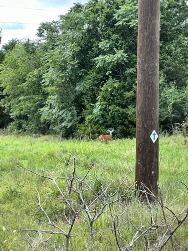 Best Hikes and Trails in Lake Stanley Draper Mountain Bike Park | AllTrails