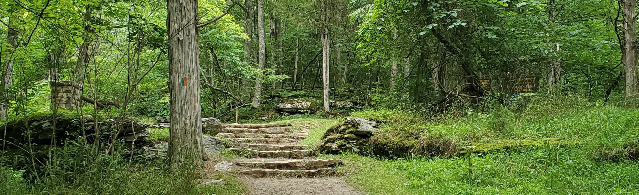 Horn Hollow Trail: 261 Reviews, Map - Kentucky | AllTrails