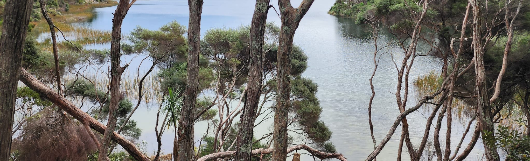 Lake Rototoa Shoreline Walk, Auckland, New Zealand - 3 Reviews, Map ...