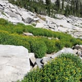 Beehive Lakes, Idaho - 455 Reviews, Map | AllTrails