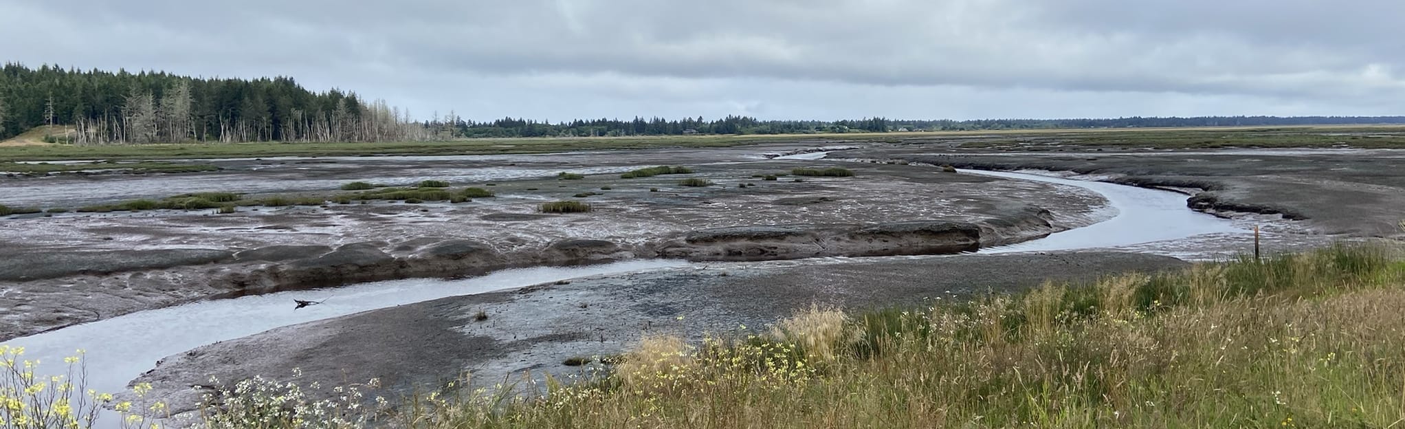 AllTrails | Parker Slough Trail: 3 Reviews, Map - Washington