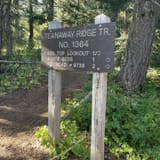 Red Top Lookout Trail, Washington - 552 Reviews, Map | AllTrails