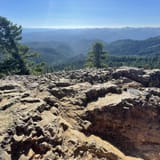 Red Top Lookout Trail, Washington - 552 Reviews, Map | AllTrails