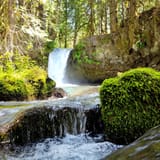 Kalama Falls Trail, Washington - 516 Reviews, Map | AllTrails
