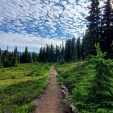 Helm Creek Campground via Cheakamus Lake Trail, British Columbia ...
