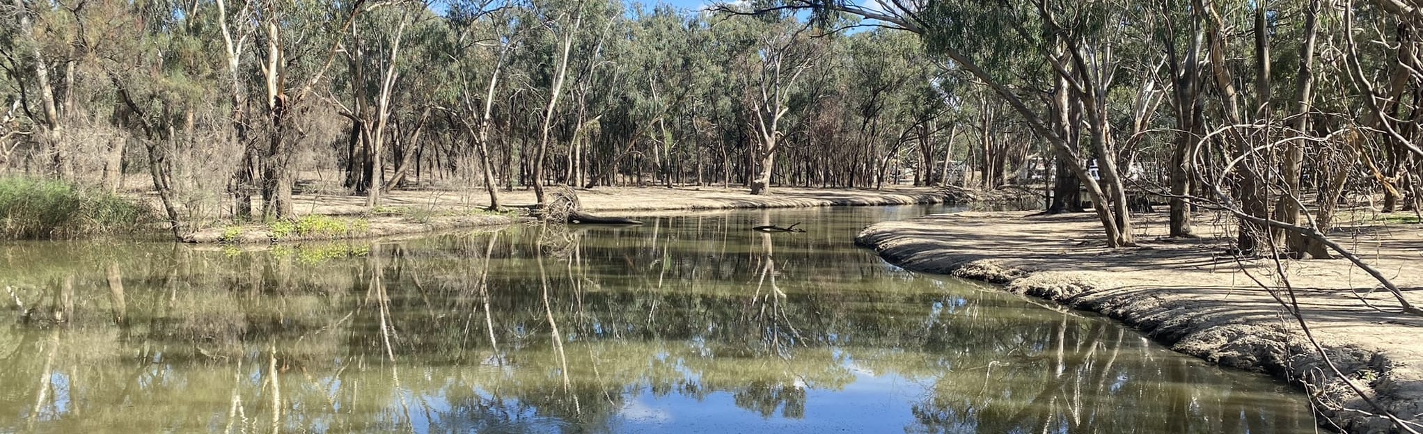 Kings Billabong Nature Walk: 32 foto's - Victoria, Australië | AllTrails