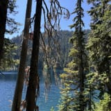 Tinkham Peak (Tinkham East Boot) Trail, Washington - 376 Reviews, Map ...