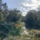French Island, Victoria, Australia - 67 Reviews, Map | AllTrails